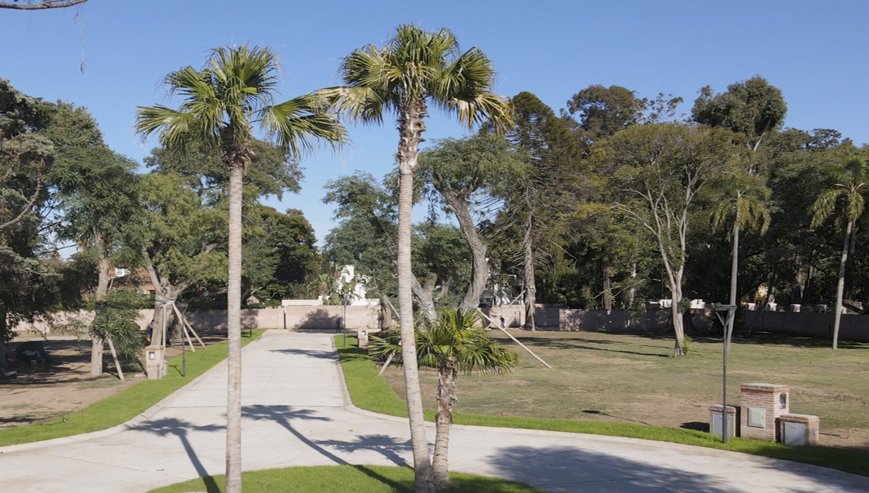 Alvear al Río – Grupo Klover | Desarrollamos tu futuro